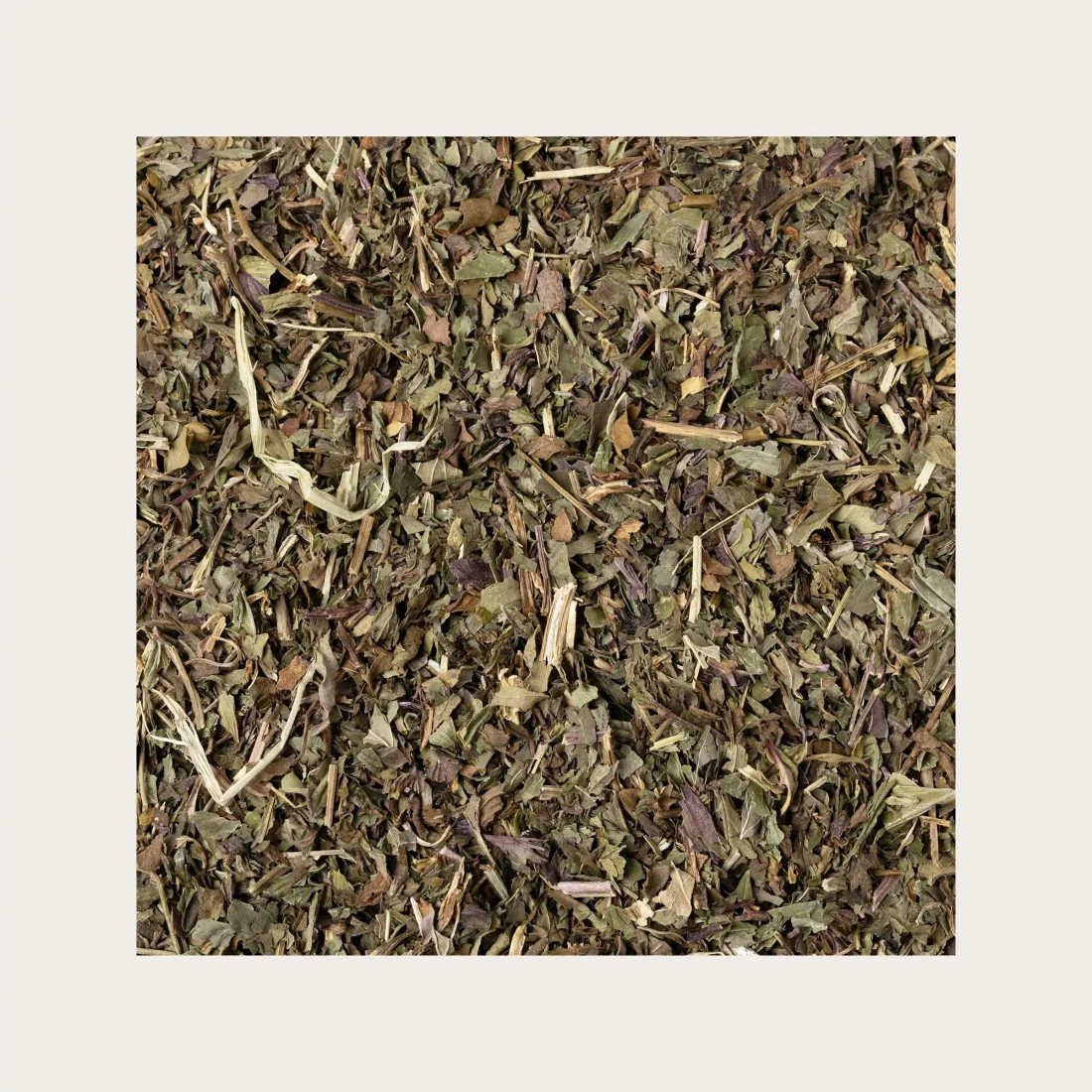 META, POPROVA (Mentha piperita L.), SOLIME, 100 G | Medivital
